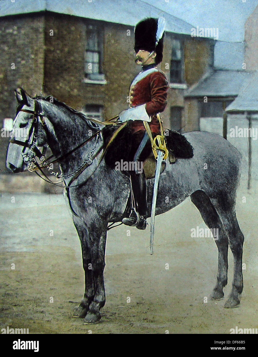 British dragoon hi-res stock photography and images - Alamy