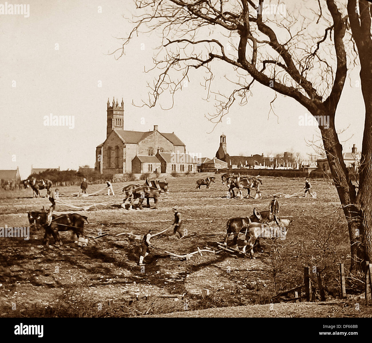 Farming - Ploughing Match - Victorian period Stock Photo - Alamy