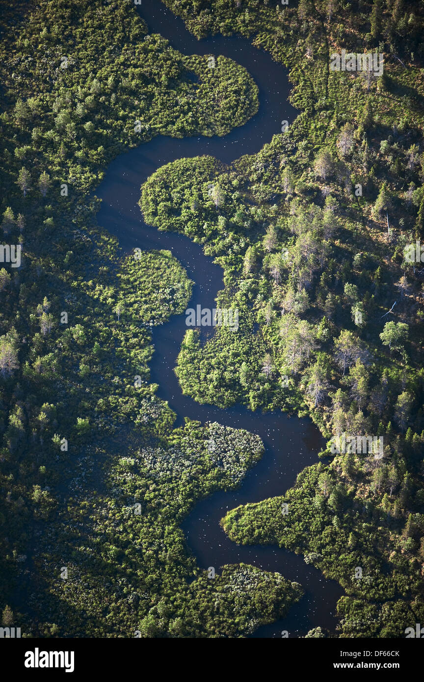 River meanders in wetland, aerial view. Sorsele. Lappland. Sweden Stock ...
