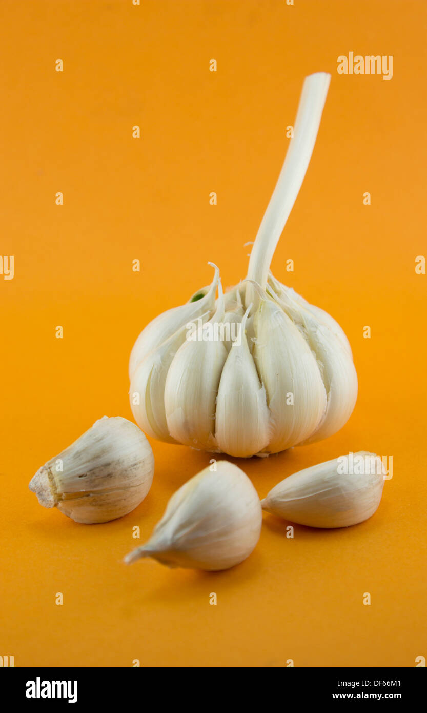 Garlic and garlic bulb on orange background Stock Photo - Alamy