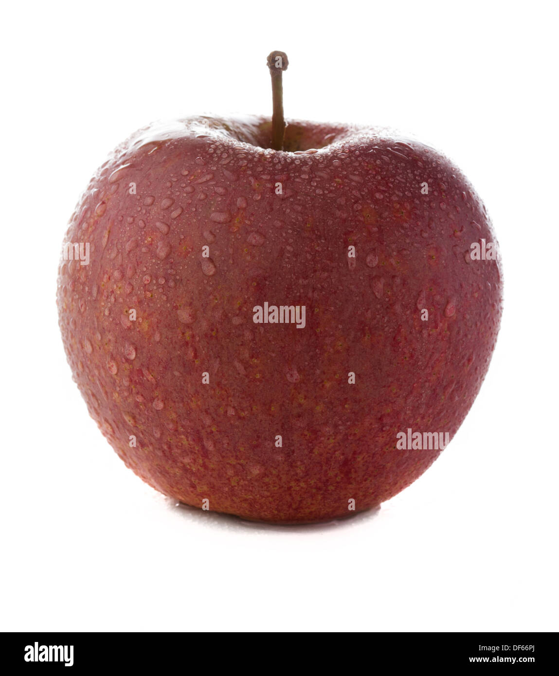 fresh and wet red pink apple with water isolated on a white background ...