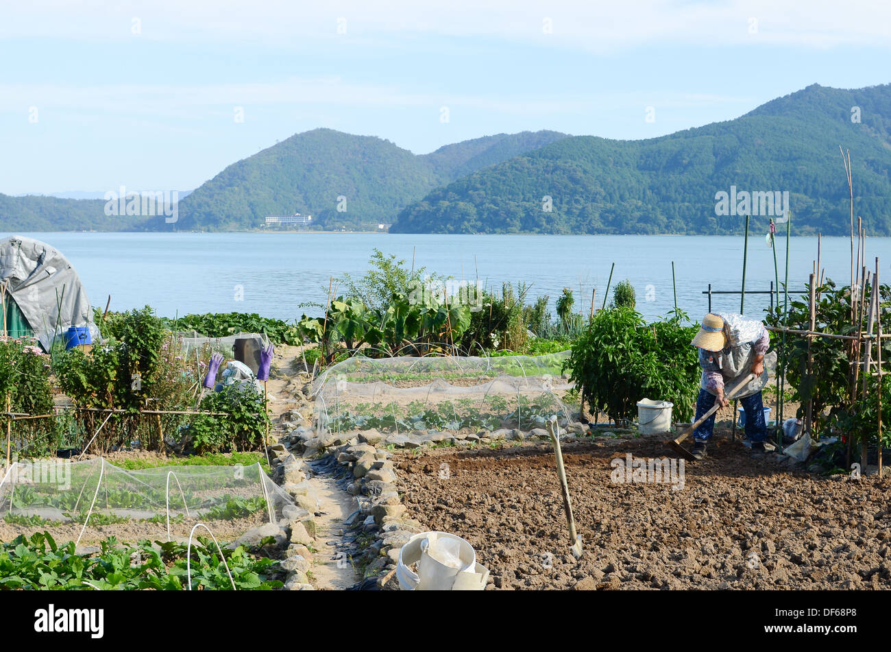 Okishima island hi-res stock photography and images - Alamy