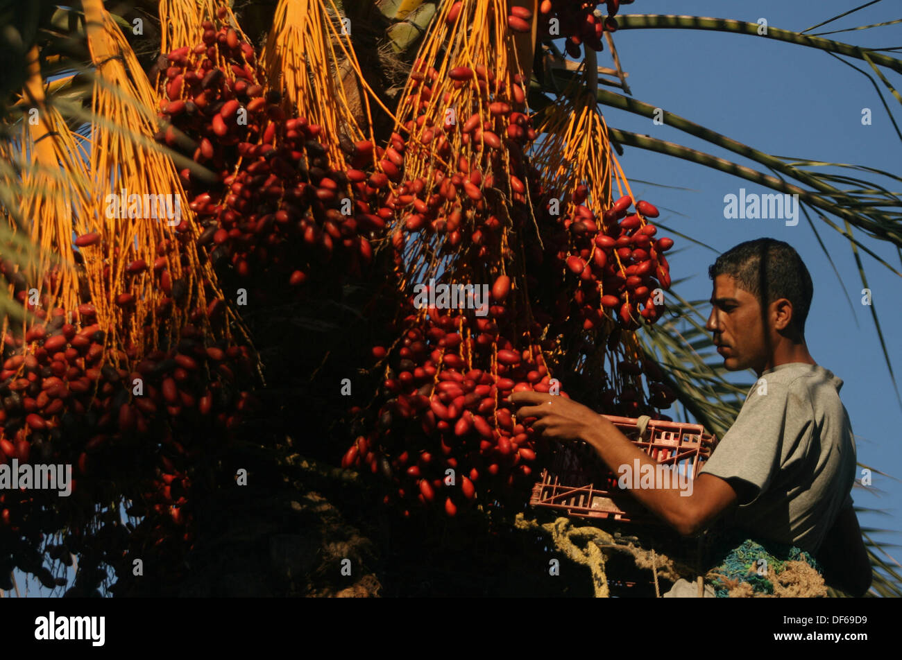 Yunis name in arabic hi-res stock photography and images - Alamy