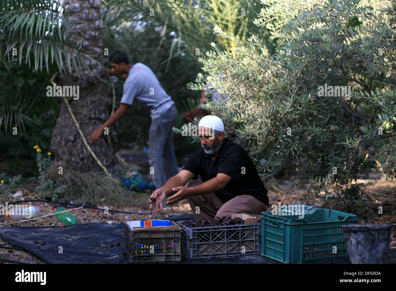 Yunis name in arabic hi-res stock photography and images - Alamy