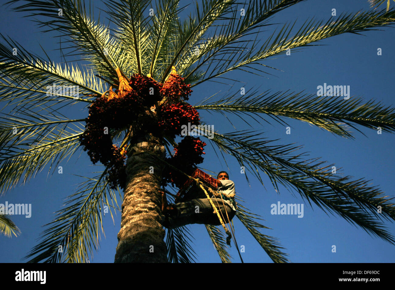 Yunis name in arabic hi-res stock photography and images - Alamy