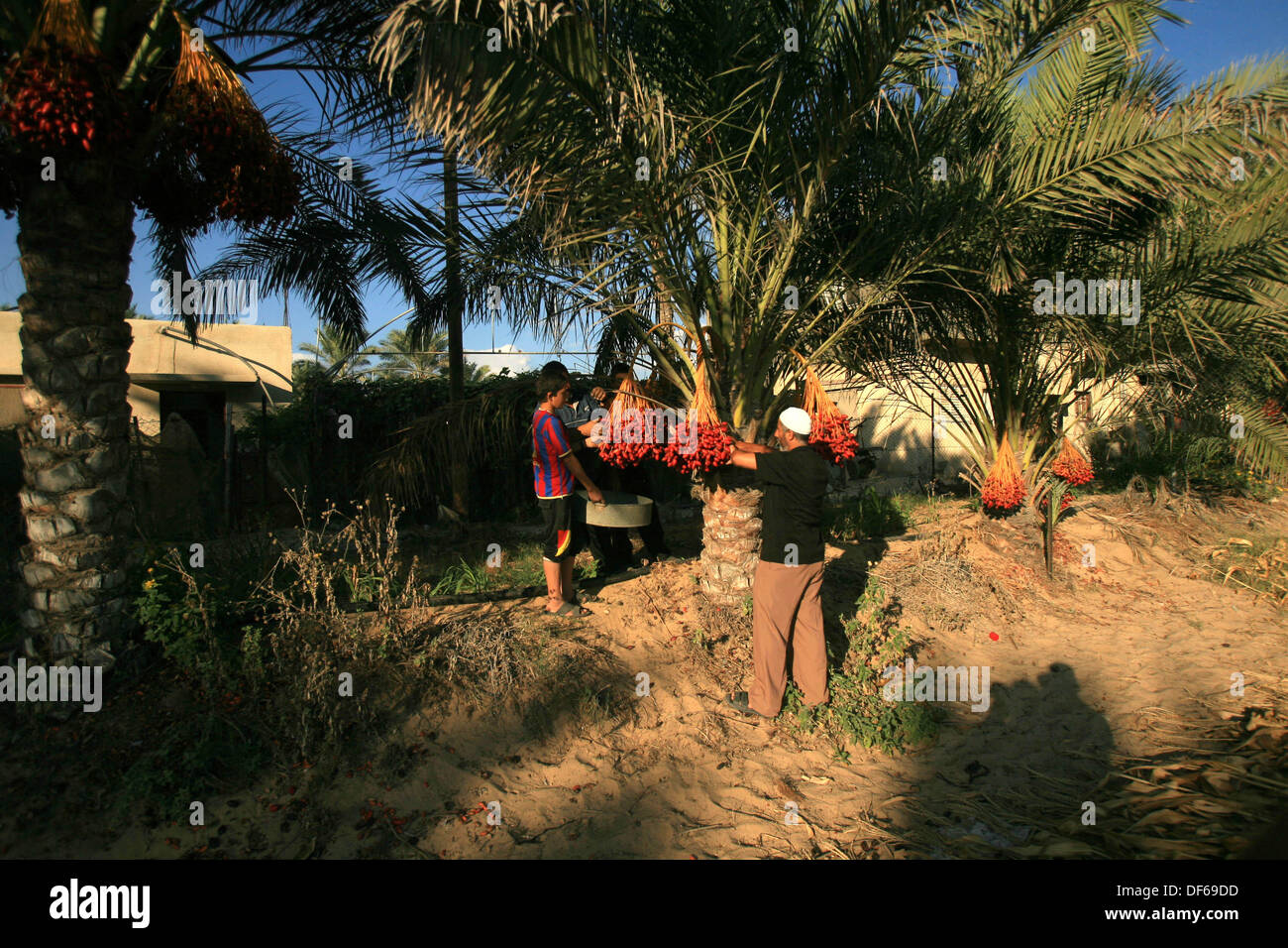Yunis name in arabic hi-res stock photography and images - Alamy