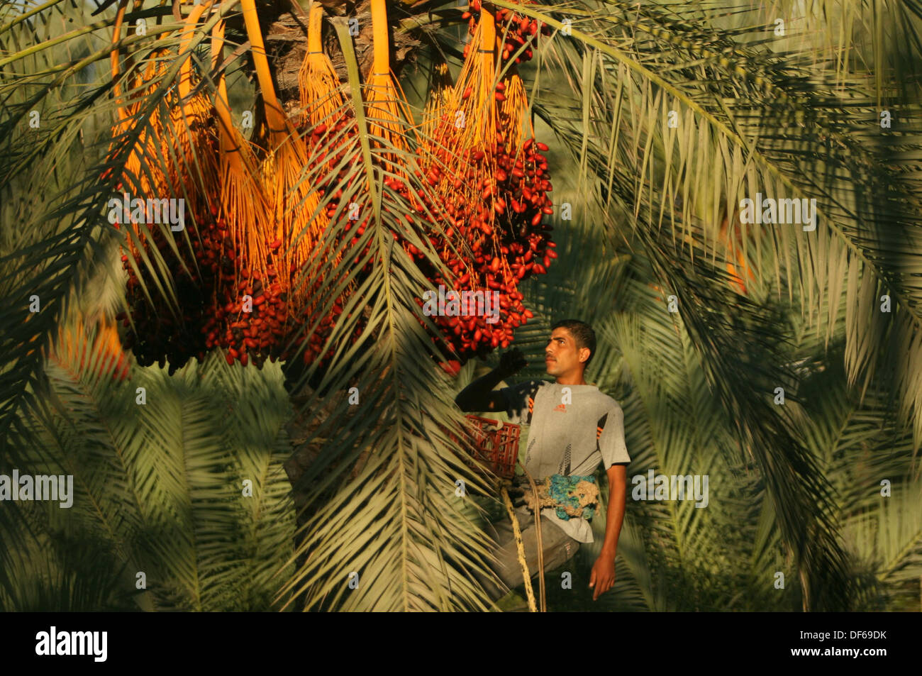 Yunis name in arabic hi-res stock photography and images - Alamy