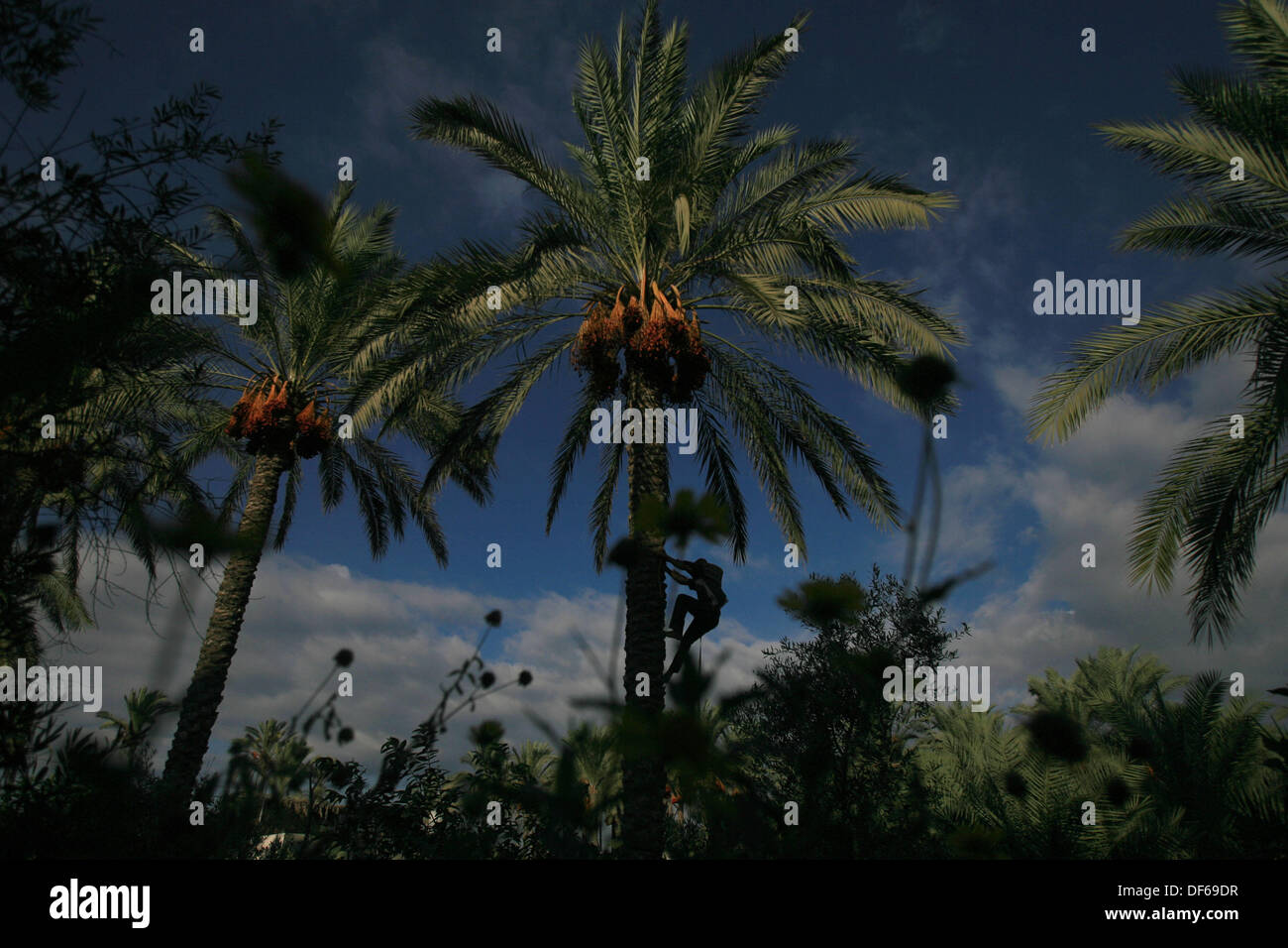 Yunis name in arabic hi-res stock photography and images - Alamy