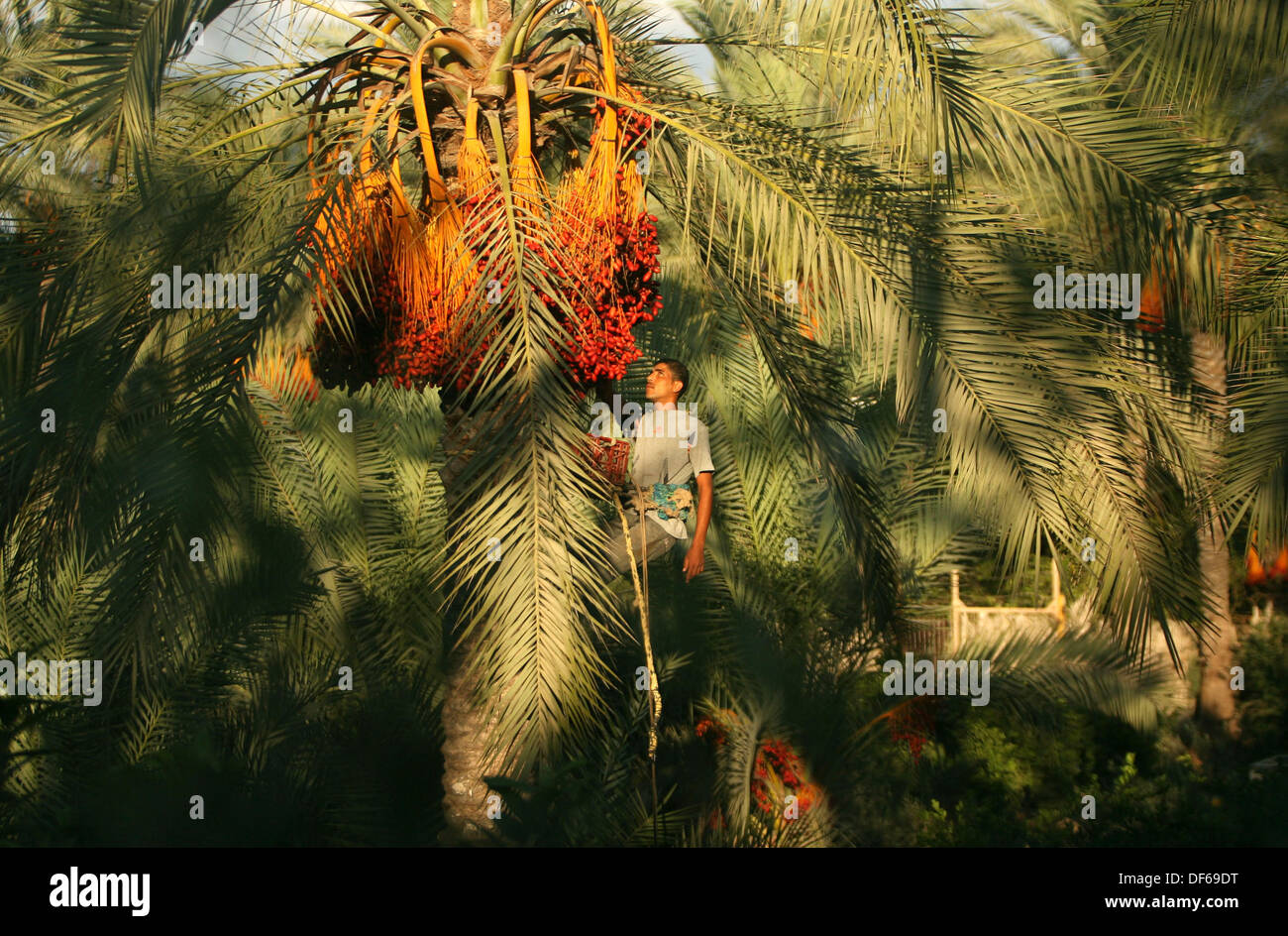 Yunis name in arabic hi-res stock photography and images - Alamy