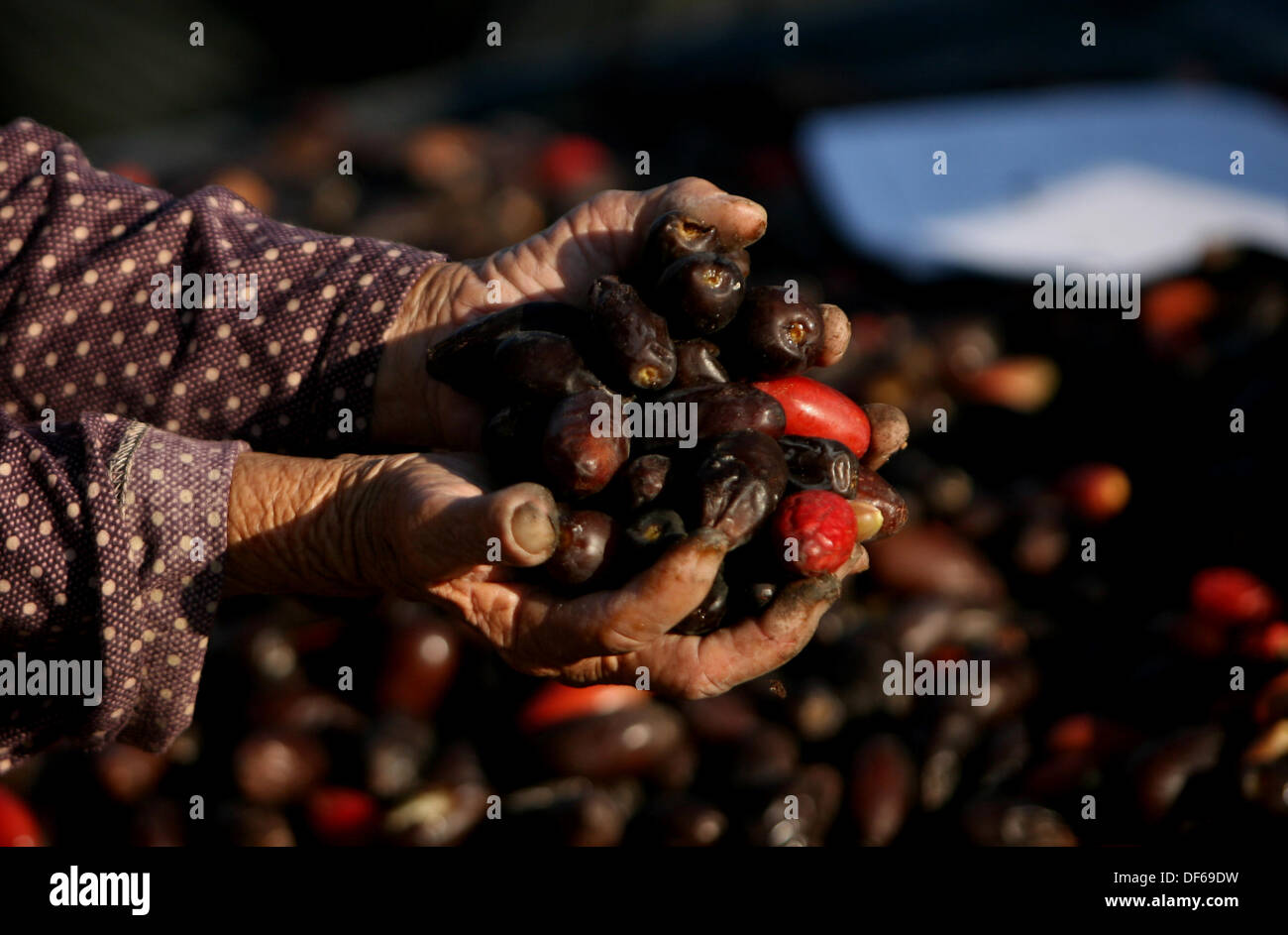 Yunis name in arabic hi-res stock photography and images - Alamy