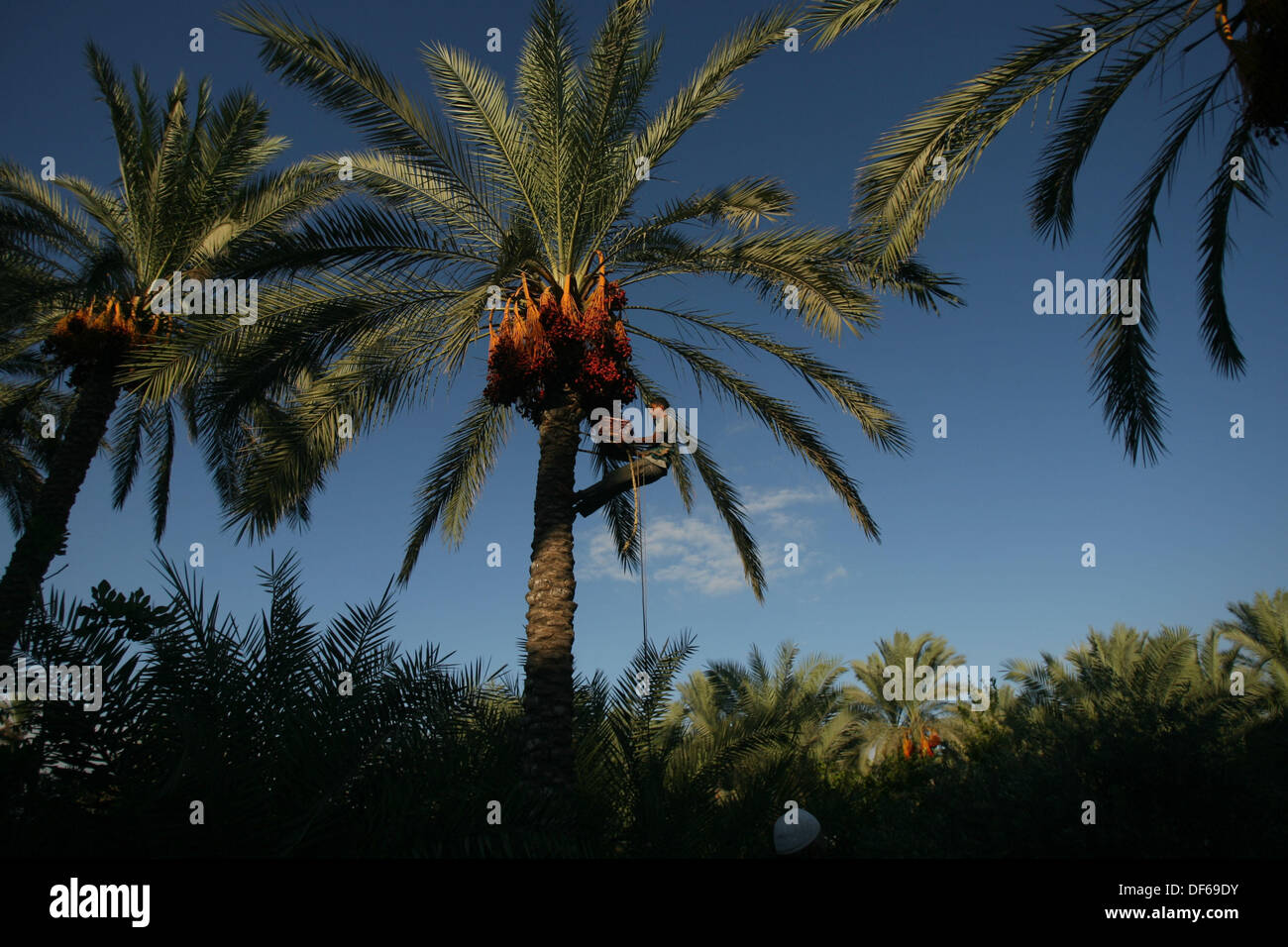 Yunis name in arabic hi-res stock photography and images - Alamy