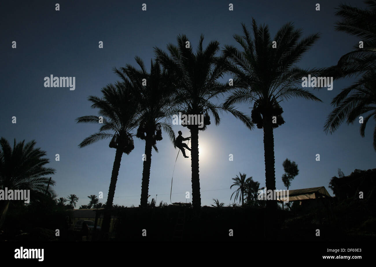 Yunis name in arabic hi-res stock photography and images - Alamy