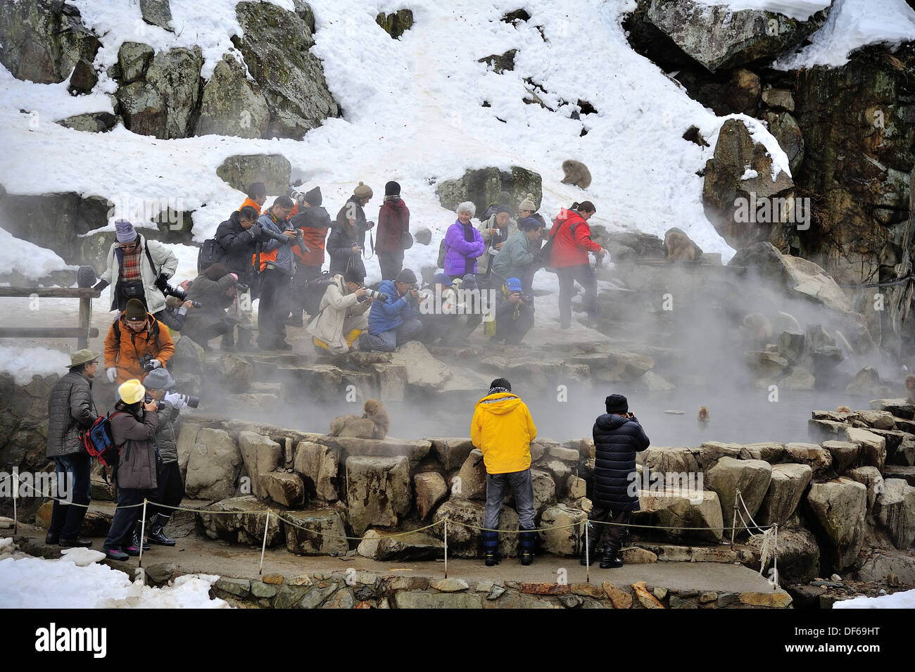 Photographers surround the Snow Monkey hotspring bath in Jigokudani ...