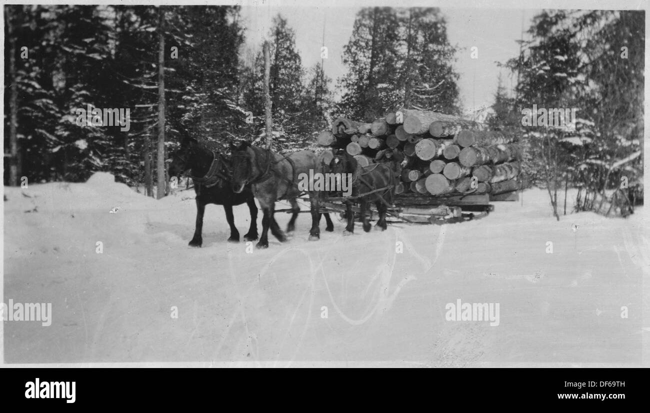 Sledge loaded hi-res stock photography and images - Alamy