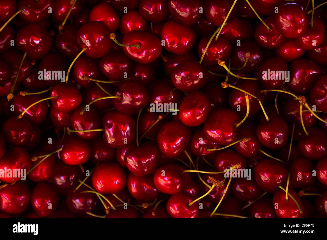 Bunch of fresh red cherries Stock Photo - Alamy