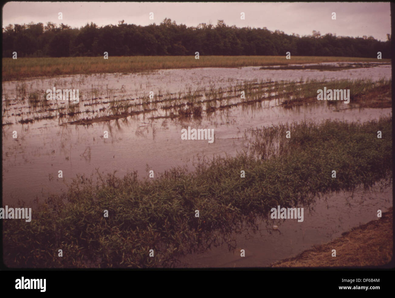 IN THE SPRING OF 1973 THE MISSISSIPPI RIVER REACHED ITS HIGHEST LEVEL ...