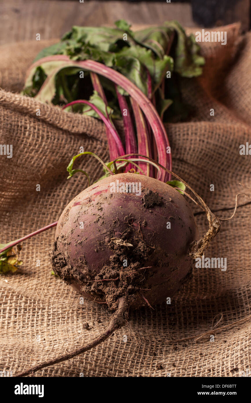 Beetroot with soil on sackcloth Stock Photo - Alamy