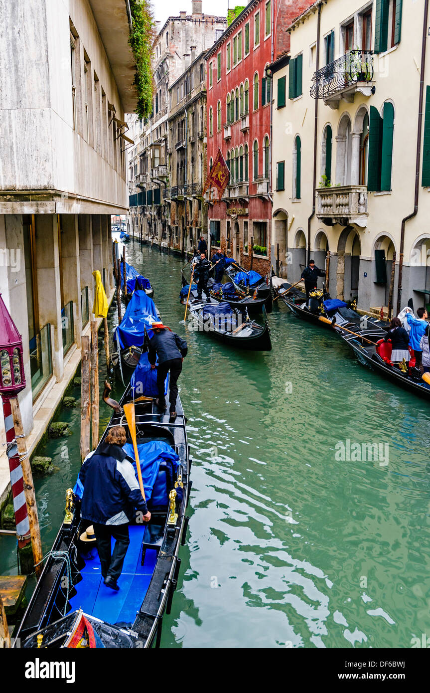 Gondoliers show their skills rowing with one oar between the sleek ...