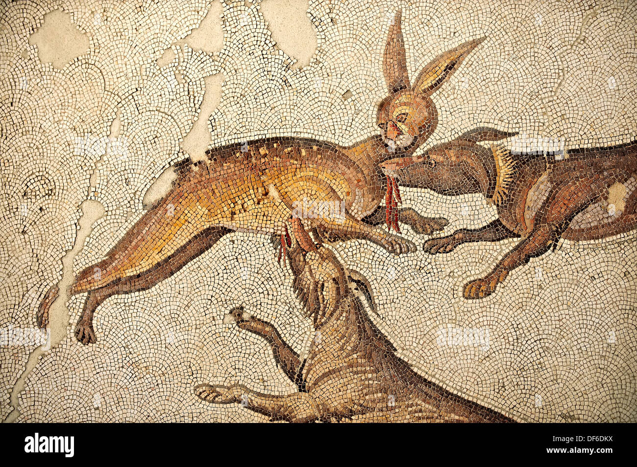 Byzantine Roman mosaic of a hare hunt from the ruins of the Great ...