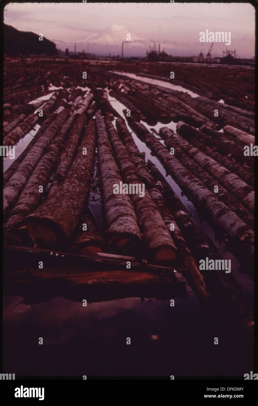 LOGS RAFTED ON COMMENCEMENT BAY 552160 Stock Photo - Alamy