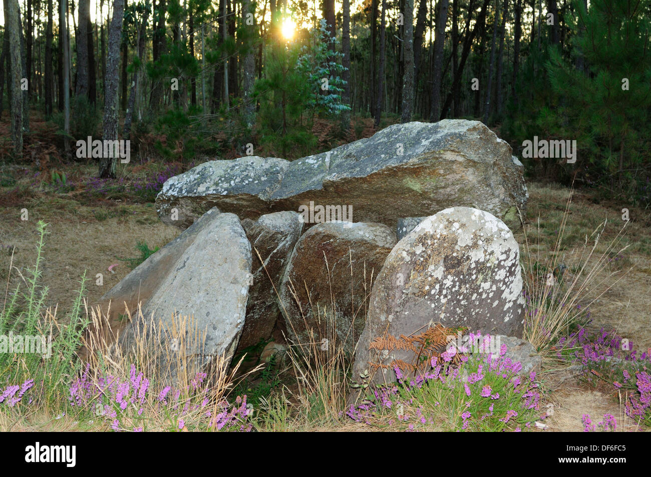 Arca spain hi-res stock photography and images - Alamy