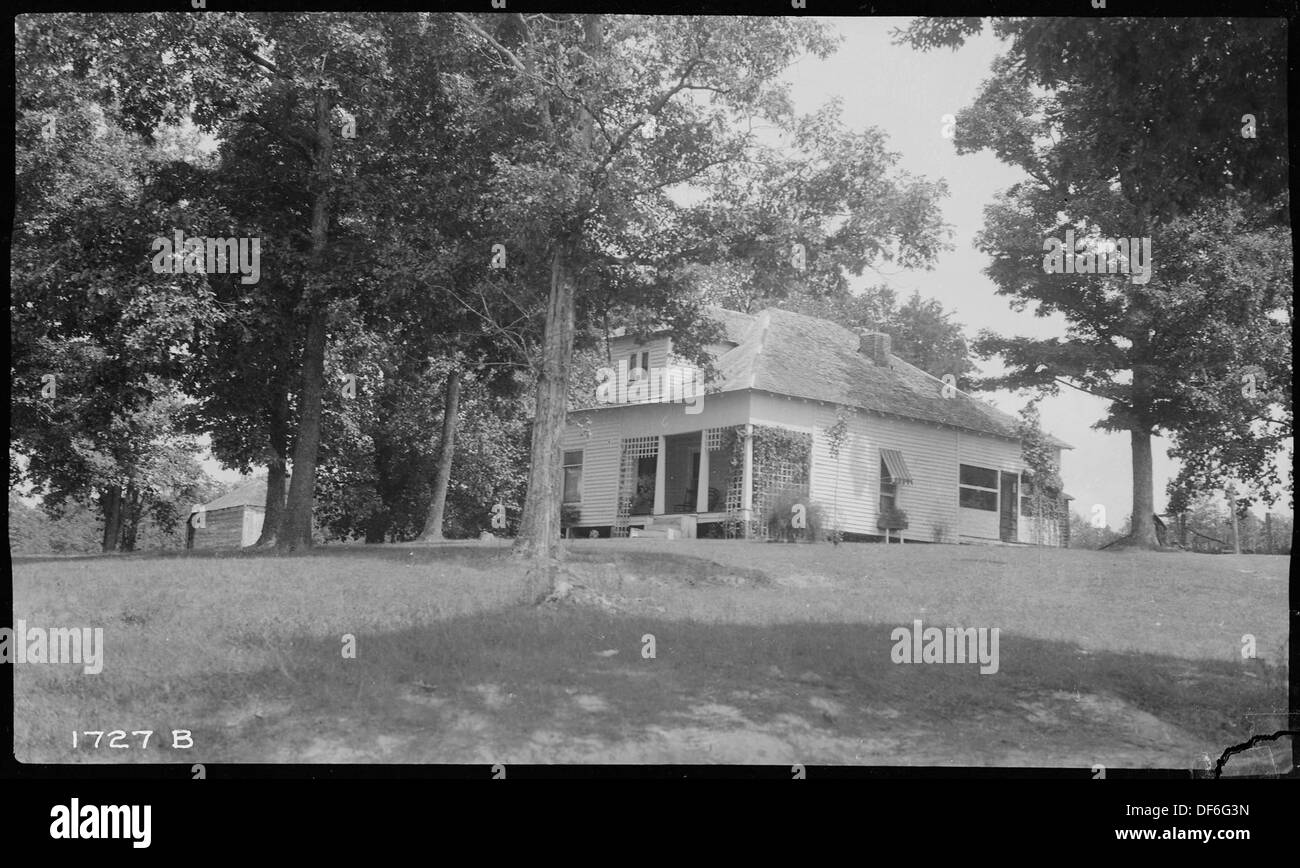 Dougal hi-res stock photography and images - Alamy