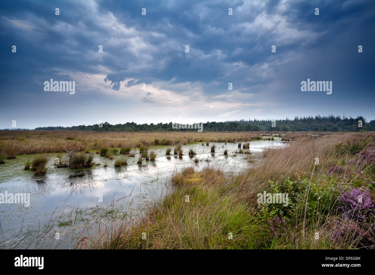 Ue water hi-res stock photography and images - Alamy