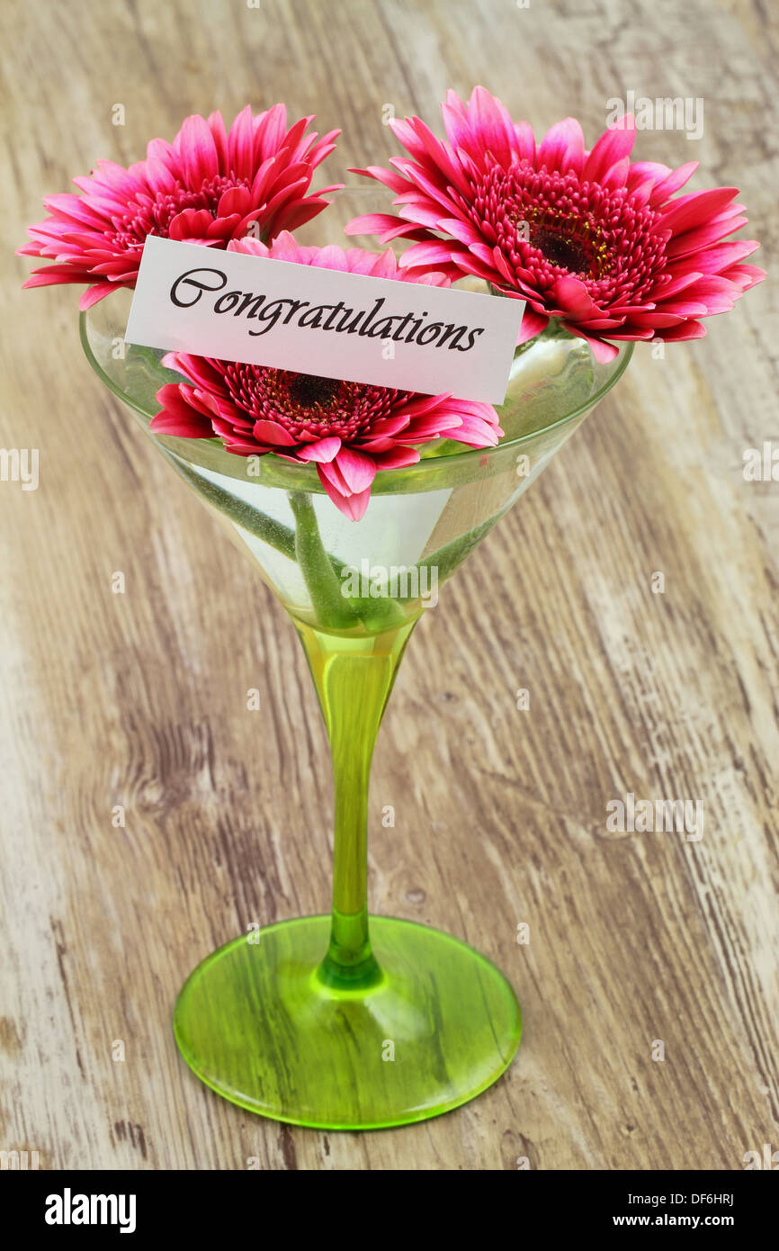 Congratulations card with pink gerbera daisies in martini glass Stock ...