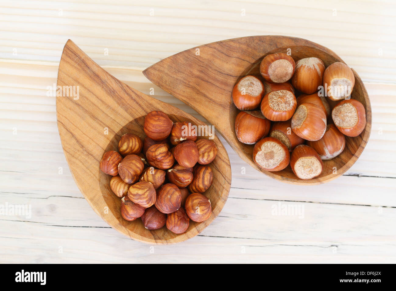 Two hazelnuts hi-res stock photography and images - Alamy