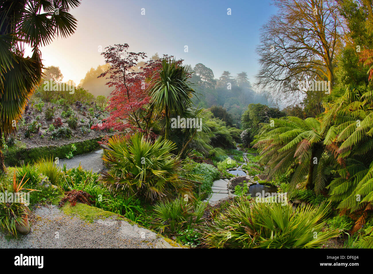Trebah Garden; Cornwall; UK Stock Photo - Alamy