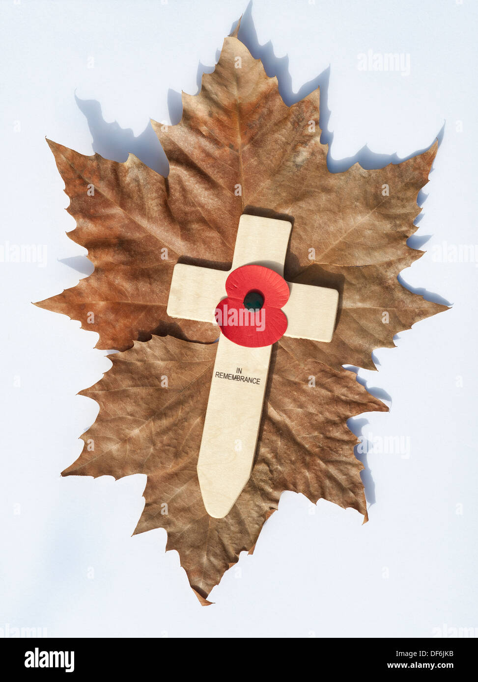 Remembrance Day wooden cross with poppy on autumn leaves Stock Photo ...