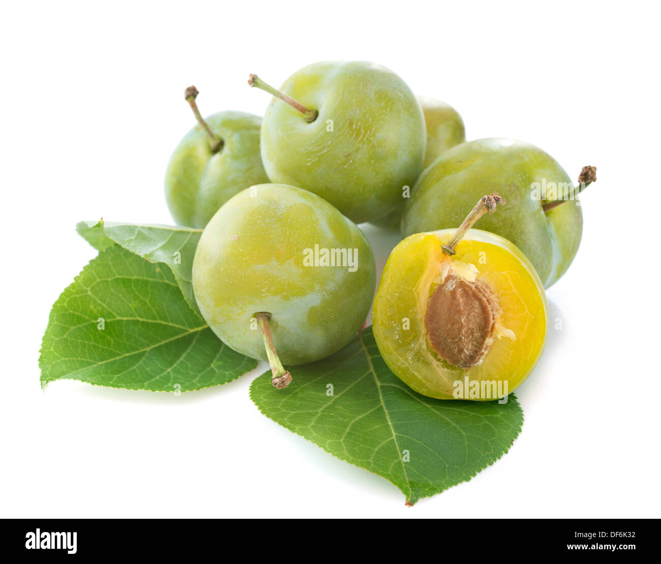 Greengage and leaf in front of white background Stock Photo - Alamy