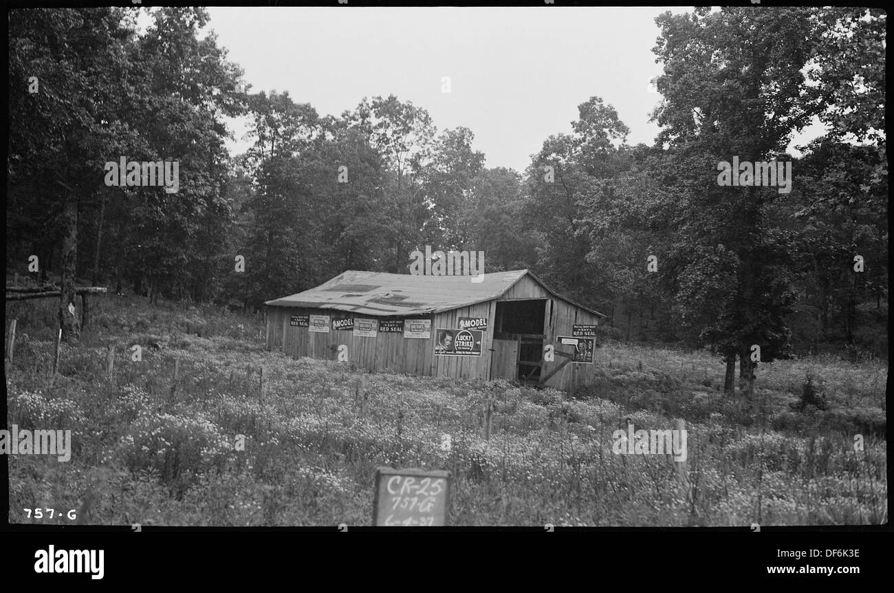 This image shows a barn owned by Raymond Moss, featuring advertisements ...