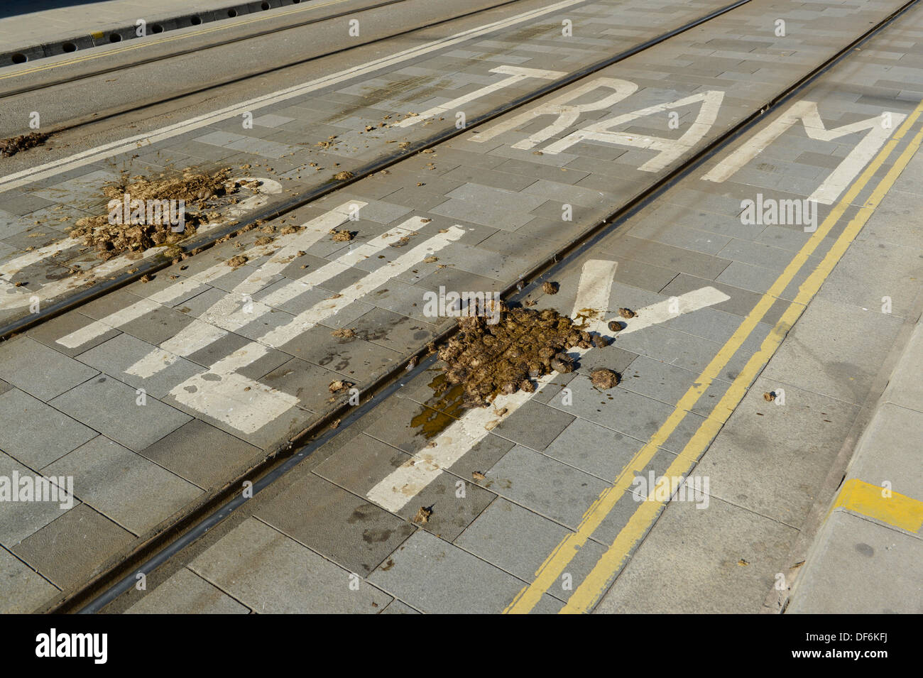 Horse manure police hi-res stock photography and images - Alamy