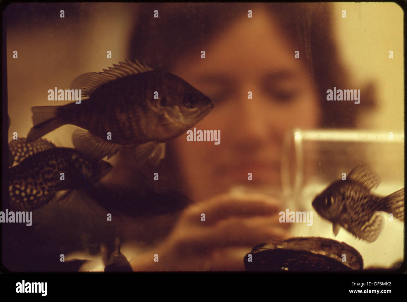 National water quality laboratory hi-res stock photography and images ...