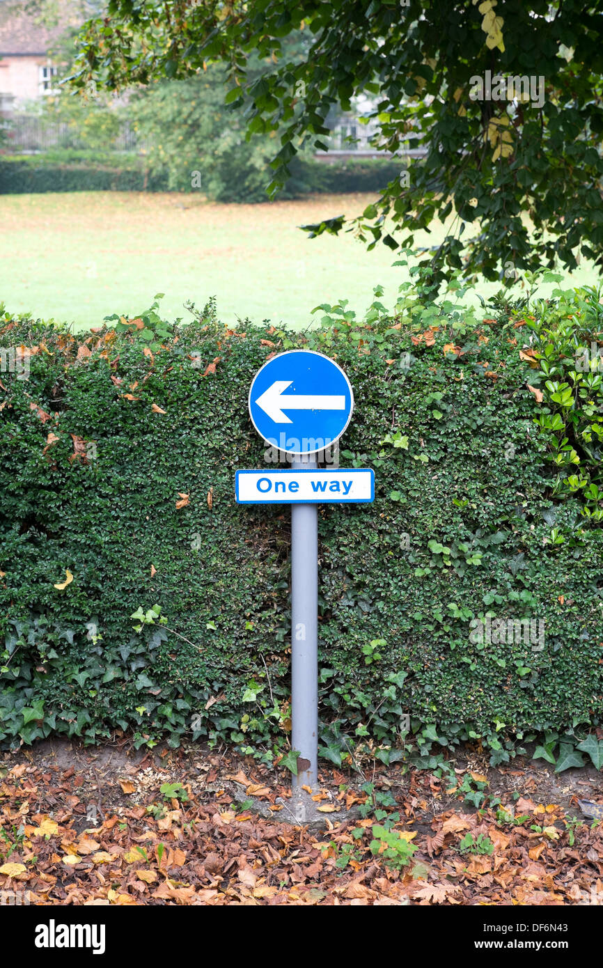 One way UK road traffic sign Stock Photo - Alamy