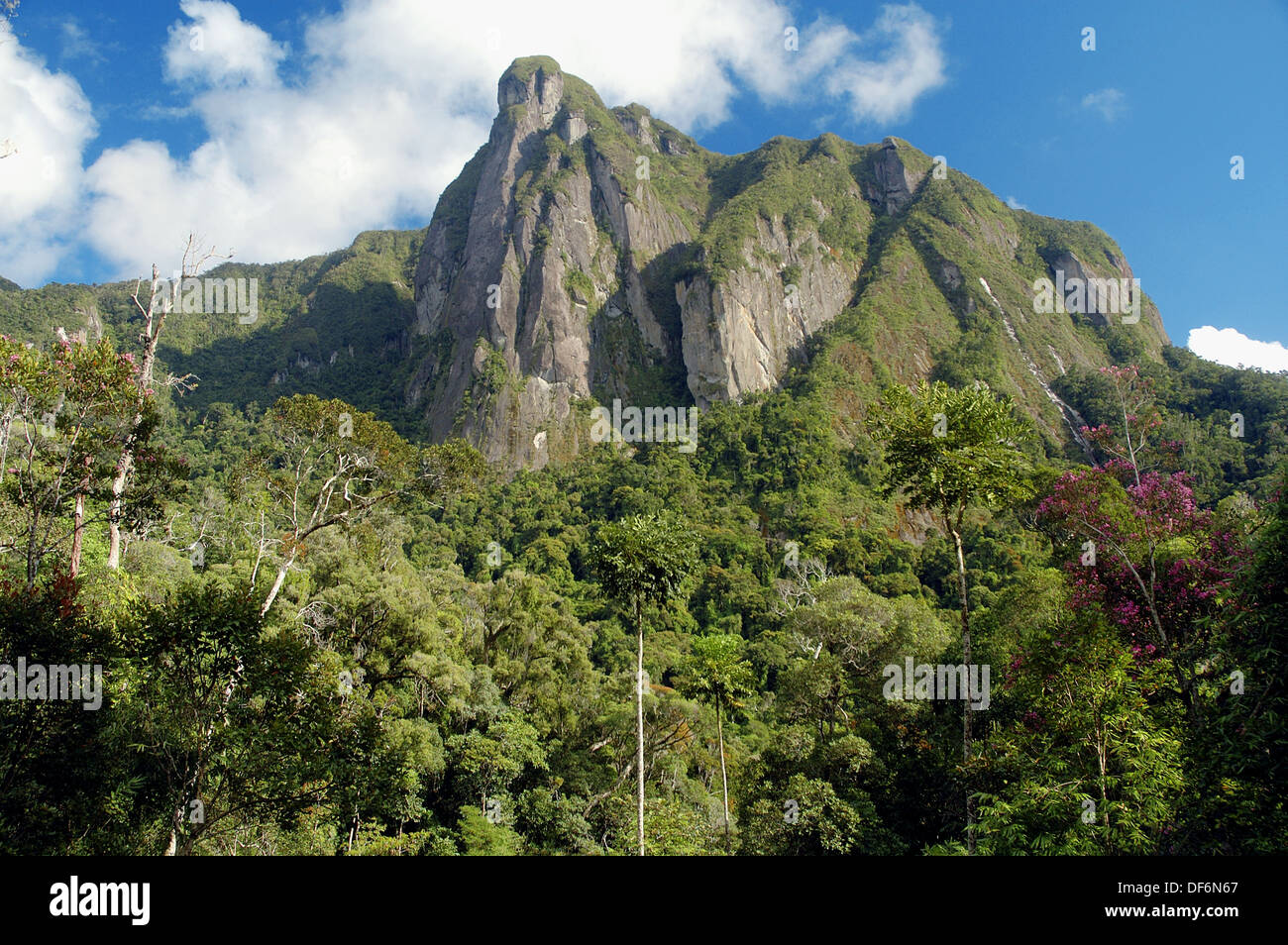 Marojejy National Park