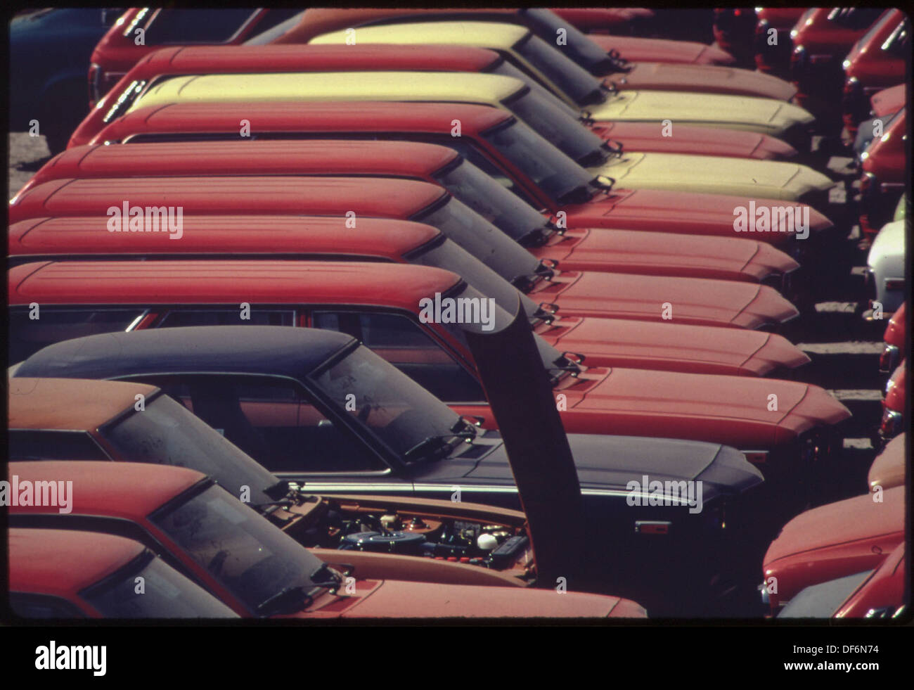 New cars are lined up at a dockside terminal, ready for shipment, as ...