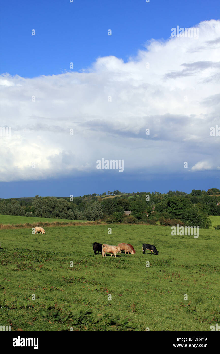 Ireland countryside storm clouds hi-res stock photography and images ...