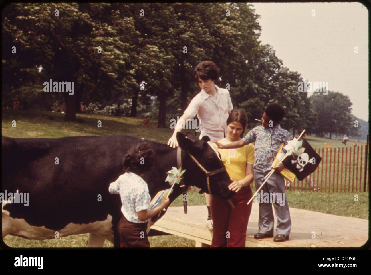 On Dairy Day in Brooklyn's Prospect Park, children had the opportunity ...