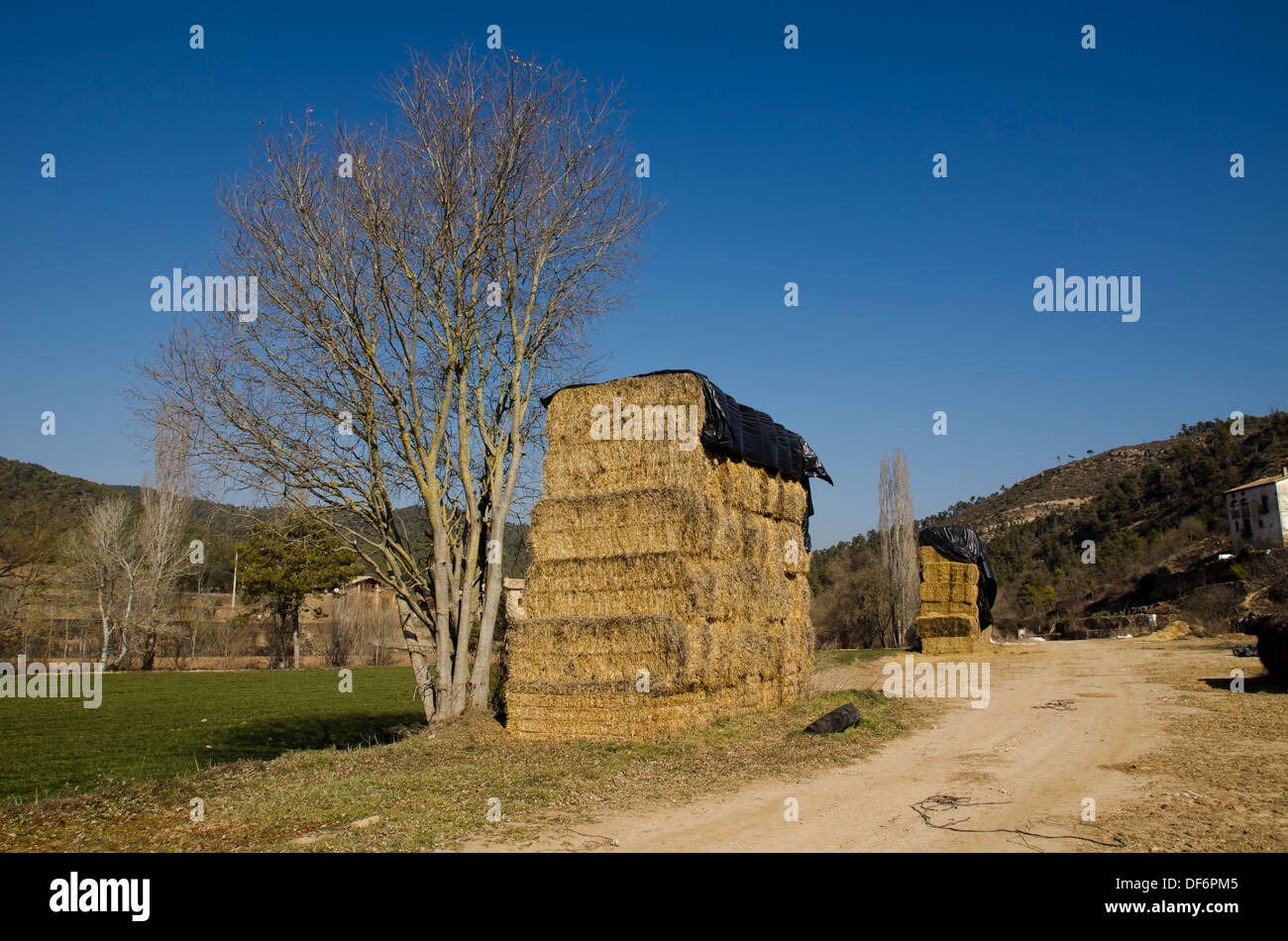 countryside, land, country, straw Stock Photo - Alamy