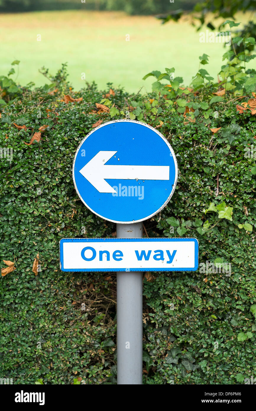 One way UK road traffic sign Stock Photo - Alamy