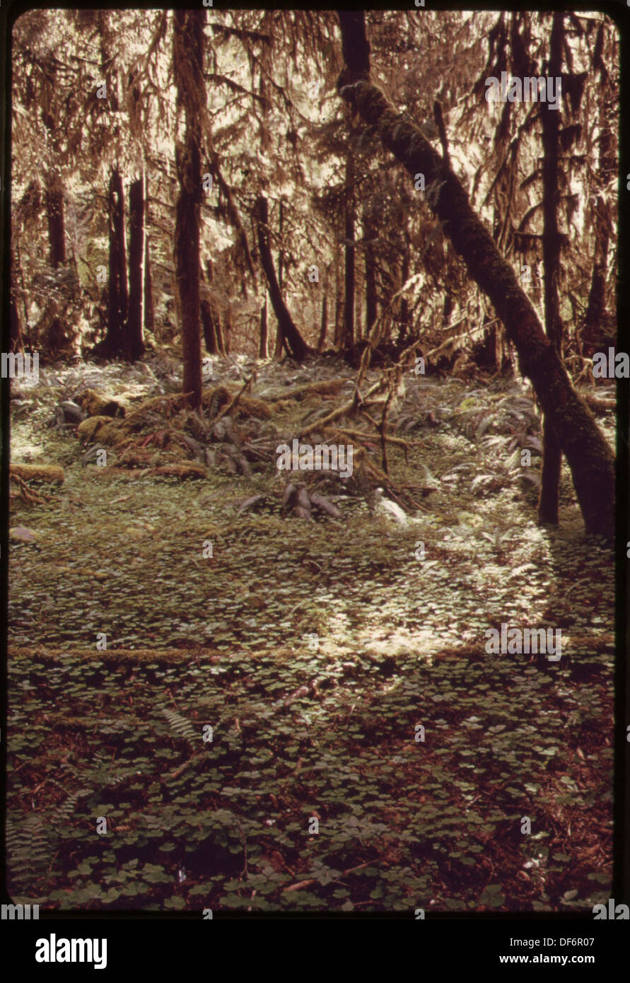 Sword in ground hi-res stock photography and images - Alamy