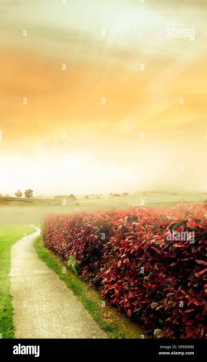 Pathway leading into distance. Copy space Stock Photo - Alamy Pathway leading into distance. Copy space Stock Photo - Alamy