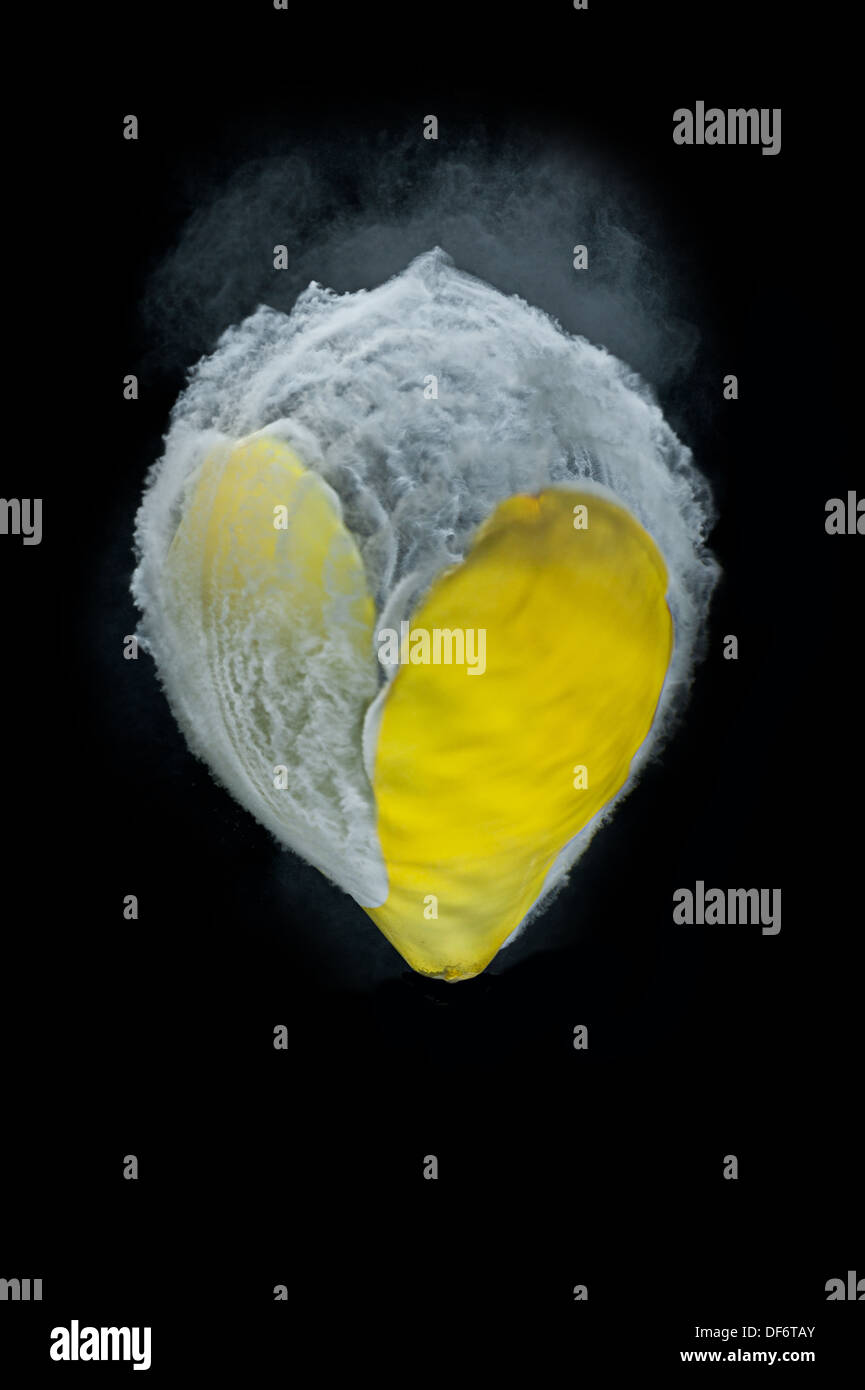 high speed flash capturing bursting balloon and visible sound wave ...