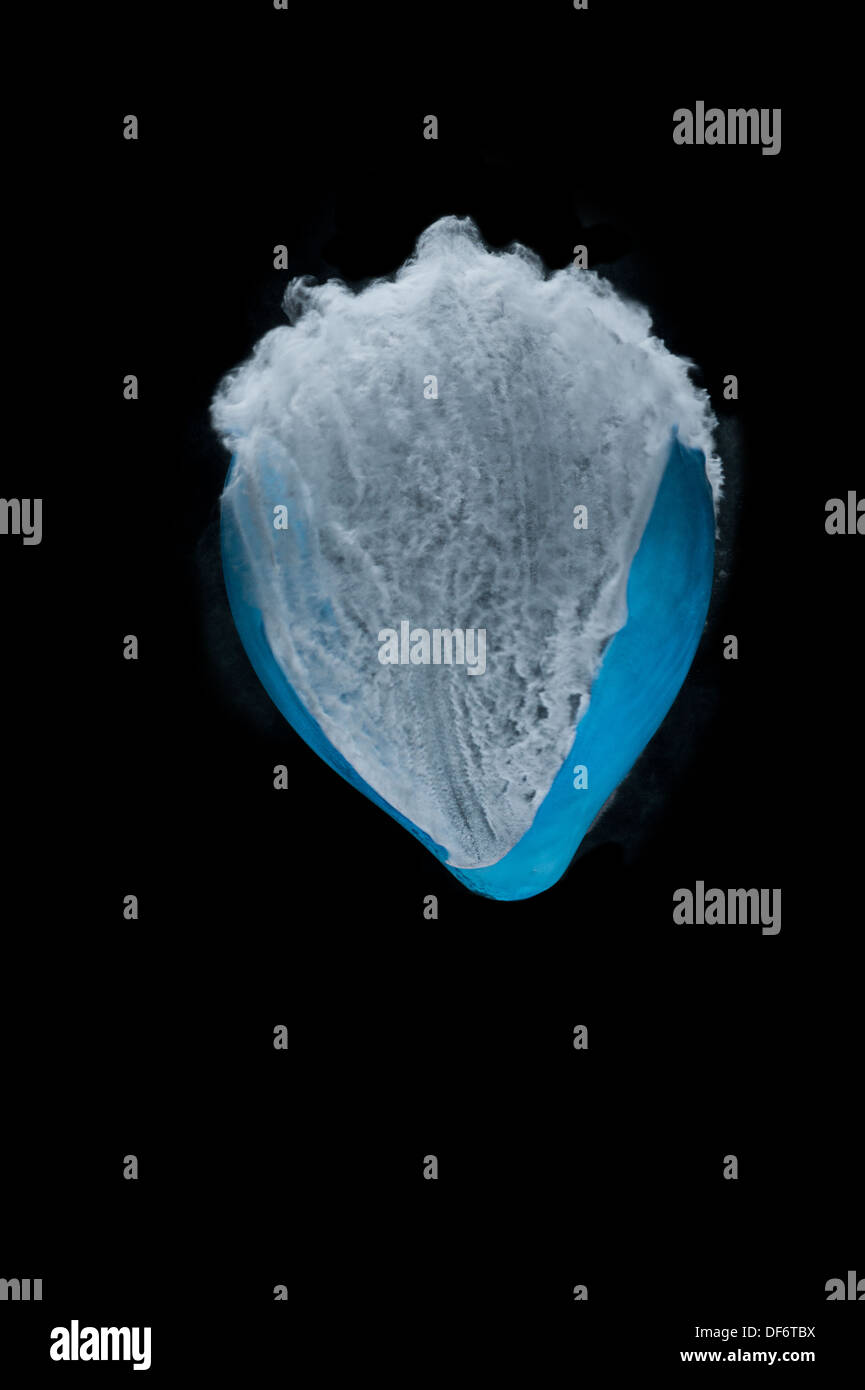 high speed flash capturing bursting balloon and visible sound wave ...