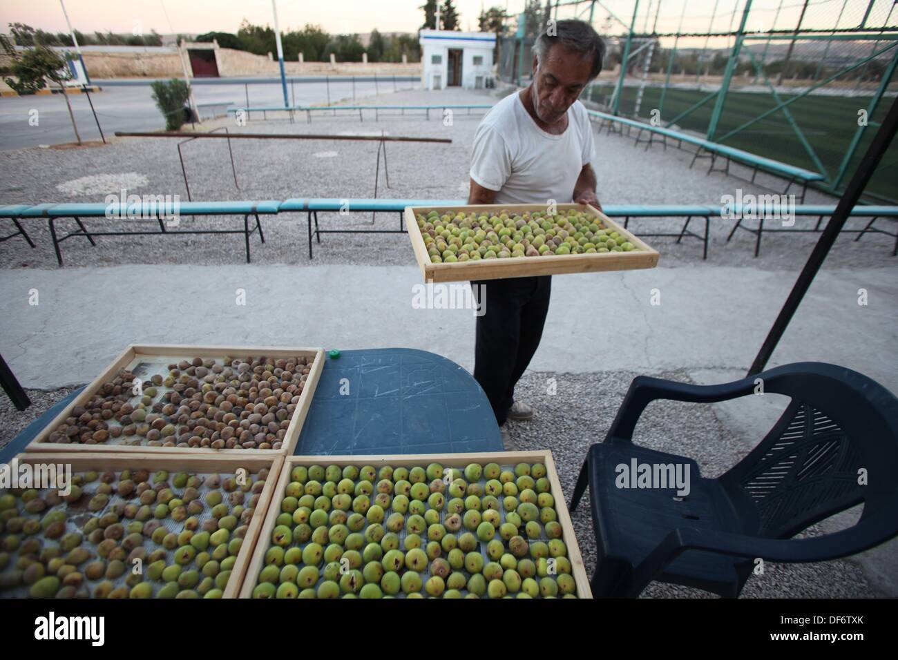 Farmer harvesting figs in mountains hi-res stock photography and images ...