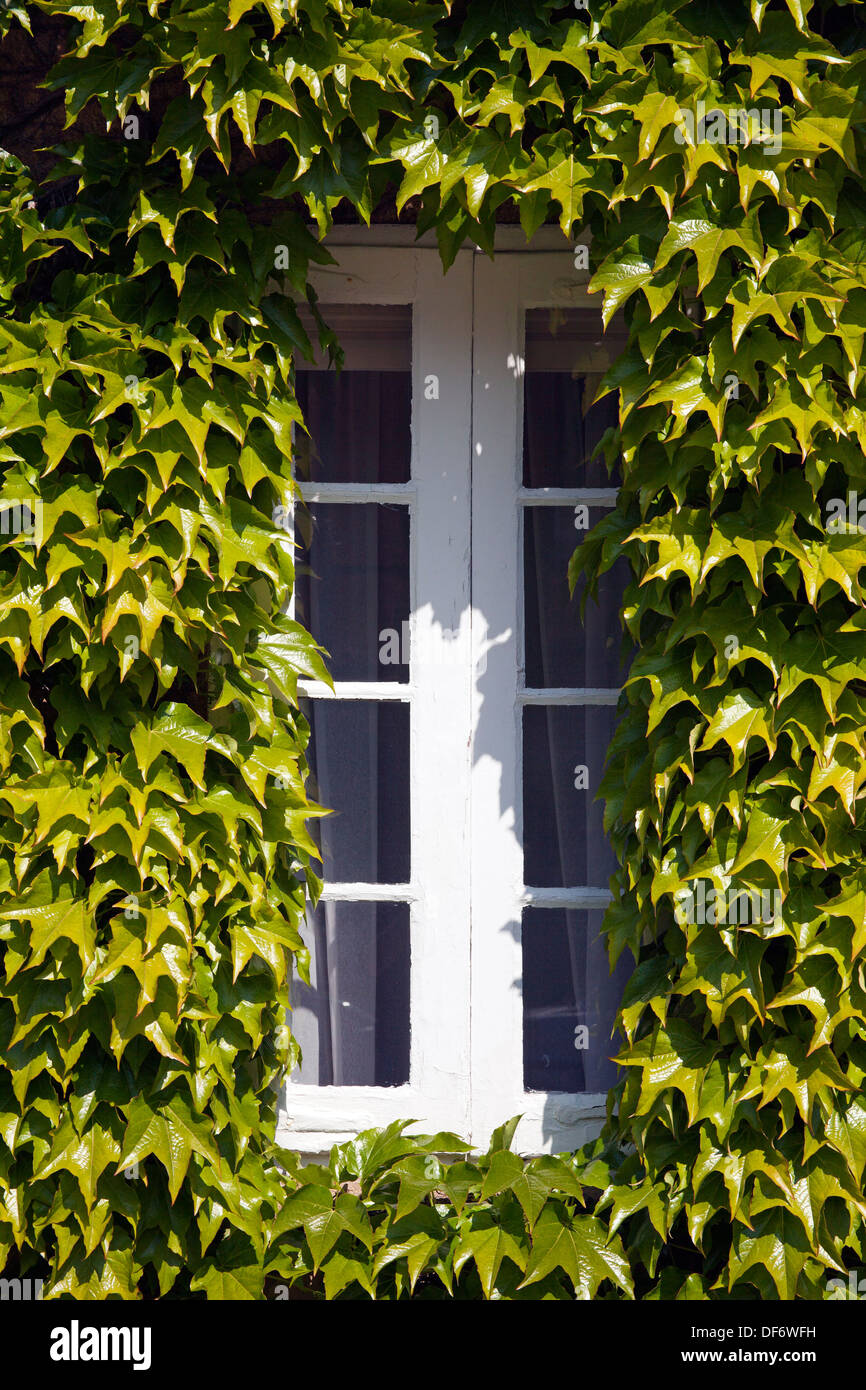 window-of-a-house-santander-cantabria-spain-stock-photo-alamy