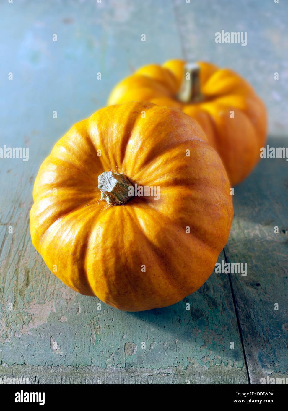Still life of fresh whole Mini Orange Pumpkins on a rustic background ...