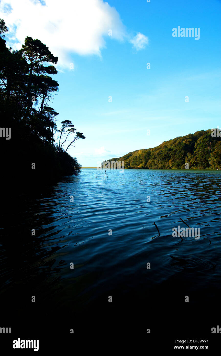Loe pool, helston, Cornwall Stock Photo - Alamy